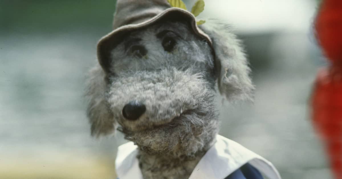 Ransu Karvakuono saa oman nimikkokadun Tampereella | Kotimaa | Yle