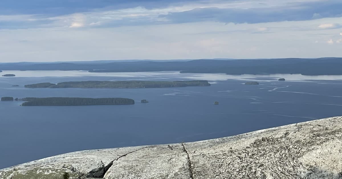 Kunnissa valmiutta siirtää matkailu­palvelut Business Joensuulle ...