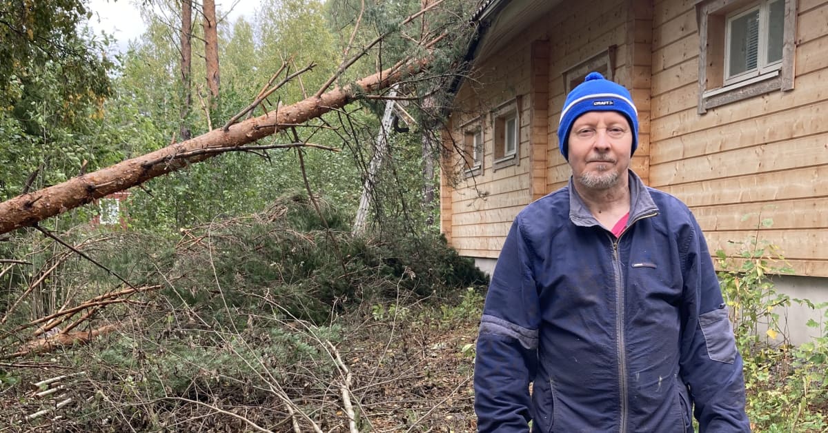 Varpu-myrsky runteli Keski-Suomea: Päijänteellä ehkä trombi ja ...
