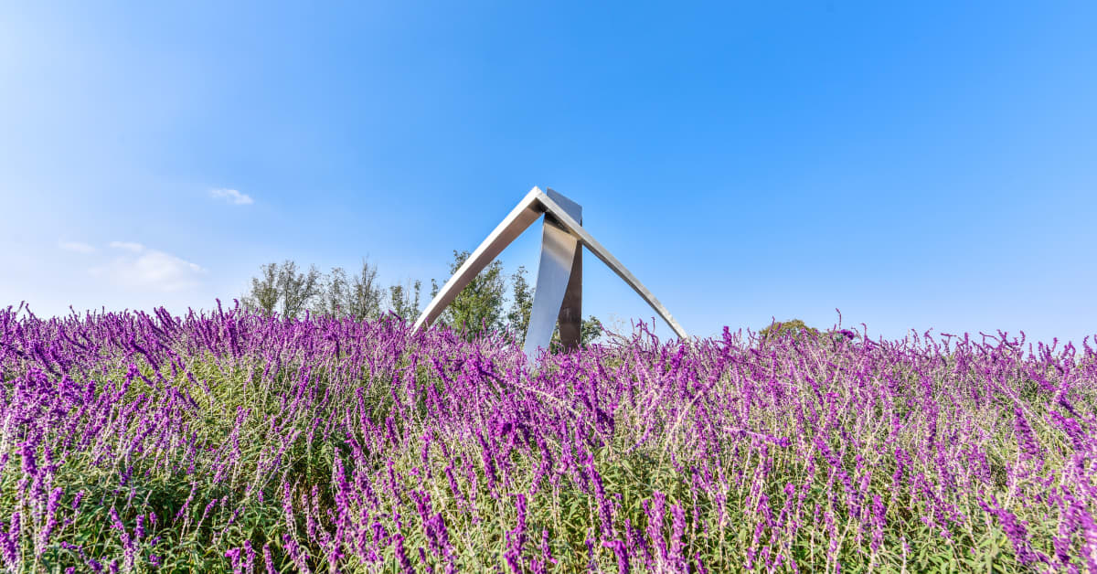 Kiinalaiseen 14 miljoonan asukkaan Chengduun valmistui rovaniemeläisen ...