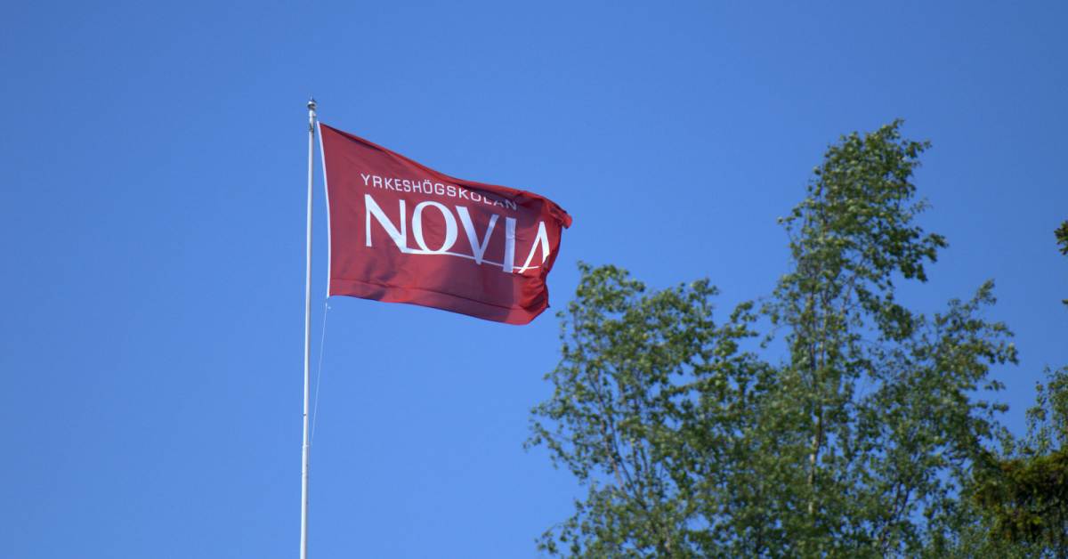 Novia i Raseborg och Åbo slås ihop | Västnyland | Svenska Yle