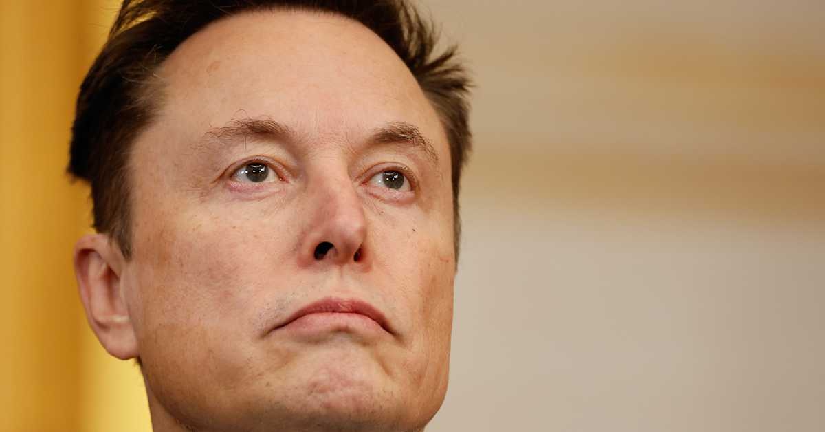 Voisiko Muskin tyylinen puhdistus onnistua myös Suomessa? Asiantuntijat ...