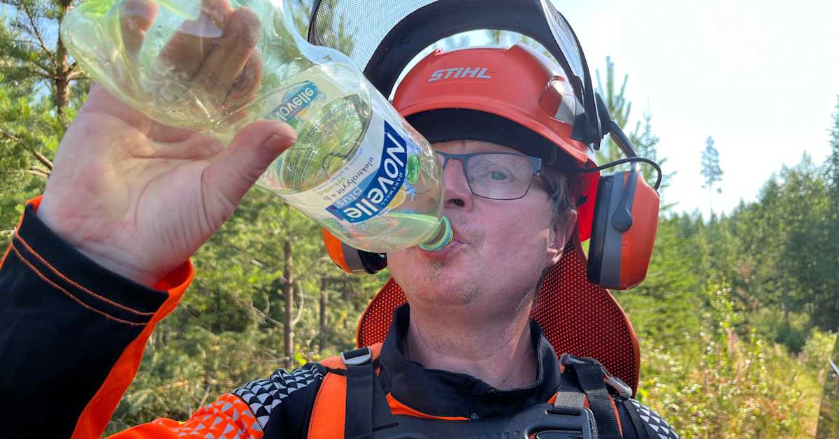 ”Paita on märkänä jo palstalle kävellessä”, kertoo metsuri Juha Berg ...