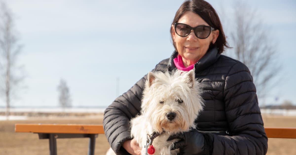 Kasper-koira on nyt entinen remmiräyhääjä – koirien käytösongelmiin ...