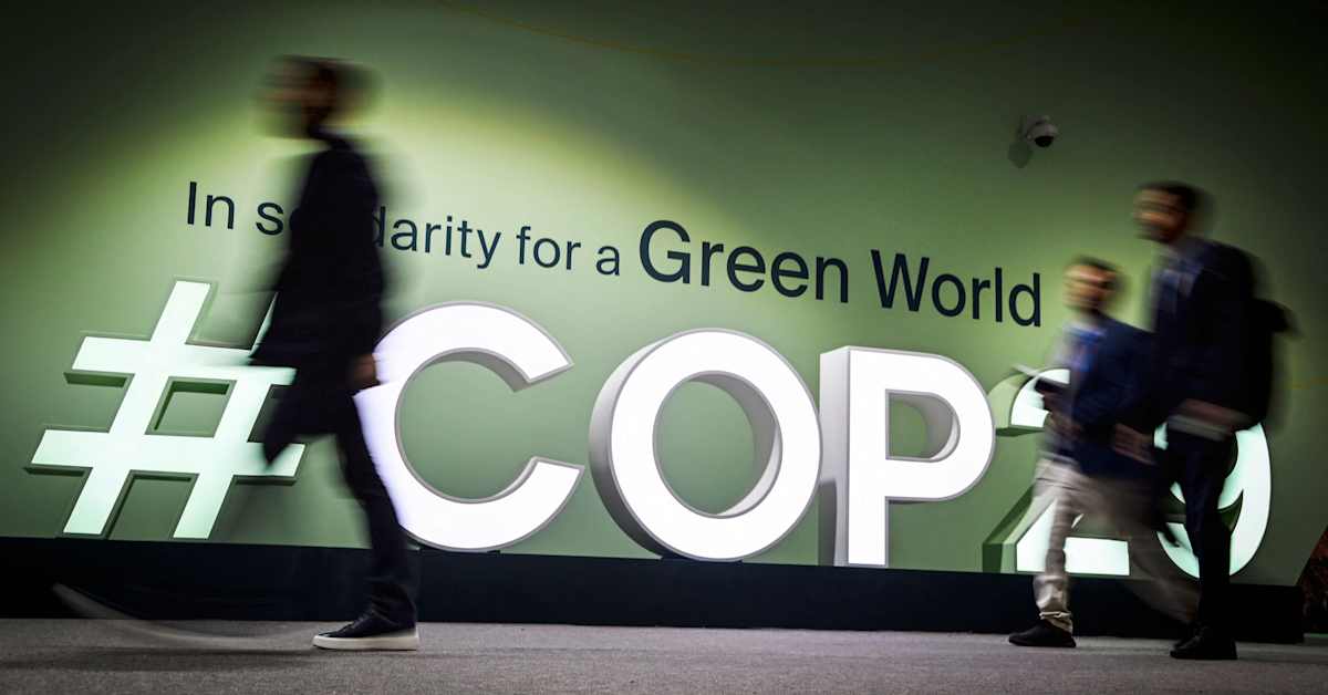 COP29: Finland again promises more climate funding while slashing contributions | Yle News | Yle