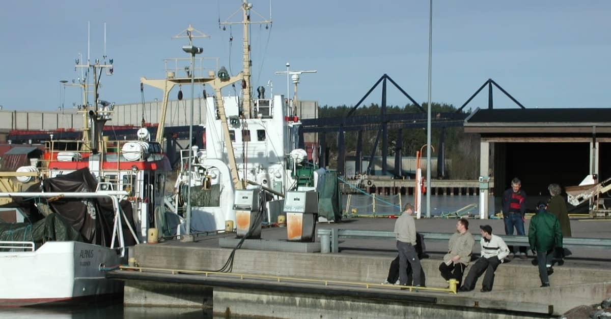 Fiskis blir del av större helhet | Åboland | Svenska Yle