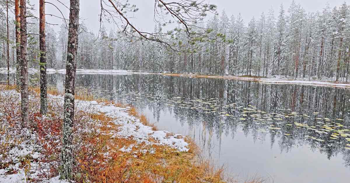 Den här veckan bjuder på snö, slask, regn och vind | Inrikes | Svenska Yle
