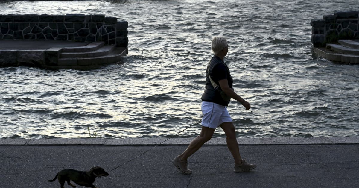 Storm Hans causes power cuts in Finland | Yle News | Yle