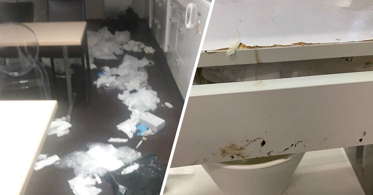 Opiskelijat maksoivat yli 5 000 euroa kosmetologi­koulutuksesta ja ...