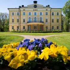 Vuojoen kartano | Yle.fi | Uutiset, urheilu, ilmiöt