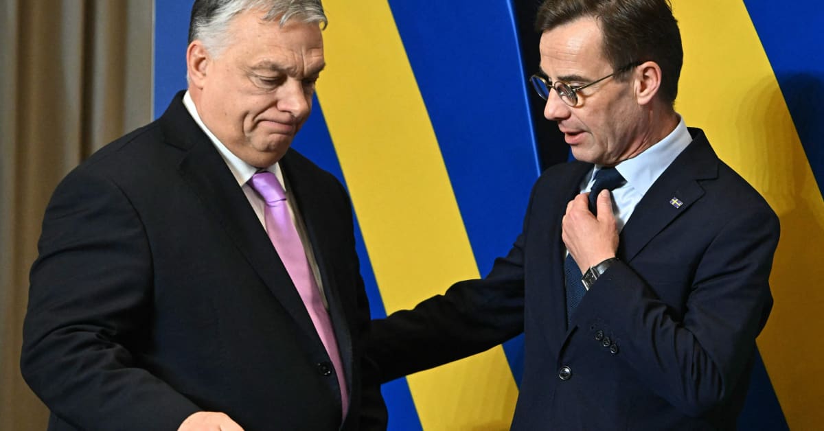 Unkari ja Ruotsi sopivat hävittäjäkaupoista – Unkarin odotetaan ...