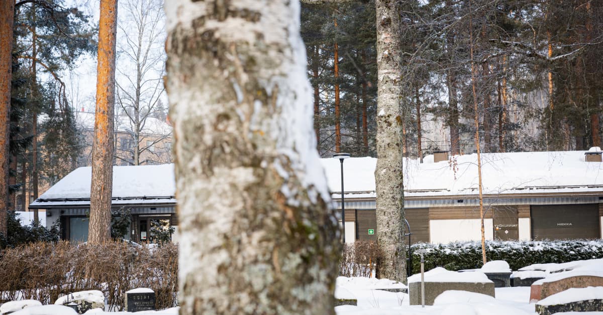 Seurakunta aikoo kaataa Jyväskylän Vanhalta hautausmaalta kymmeniä ...