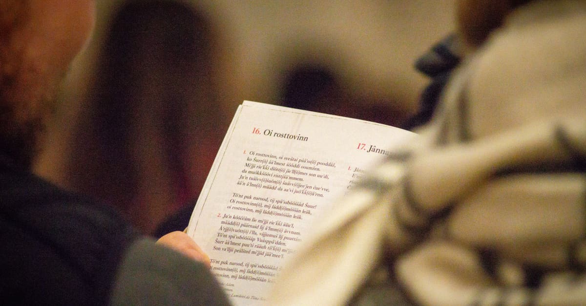 Dehálaš gullat juovlalávlagiid iežas eatnigillii – sámegielat čábbamuš ...