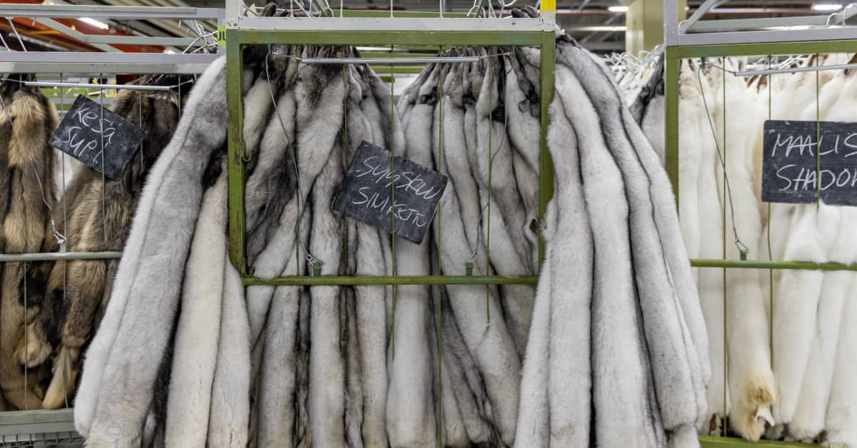 Petition demanding fur farming ban garners nearly 100,000 signatures ...