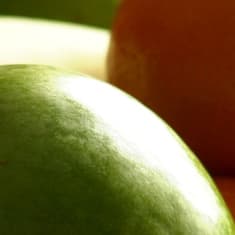 Kansantaudit | Yle.fi | Uutiset, urheilu, ilmiöt