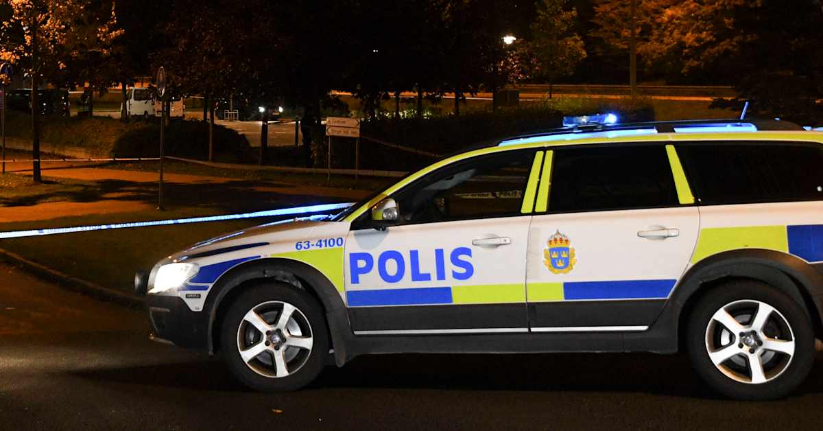 Nynazister demonstrerade utanför finska ambassaden i Stockholm ...