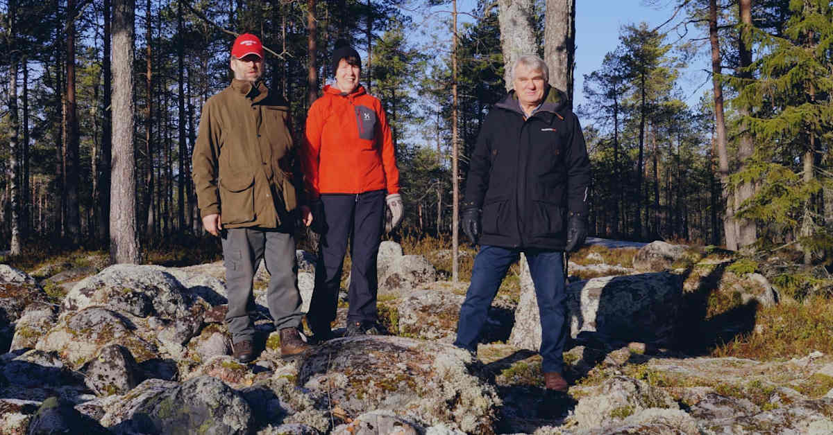 Arbetsgrupp vill rädda Tornberget i Pedersöre från exploatering ...