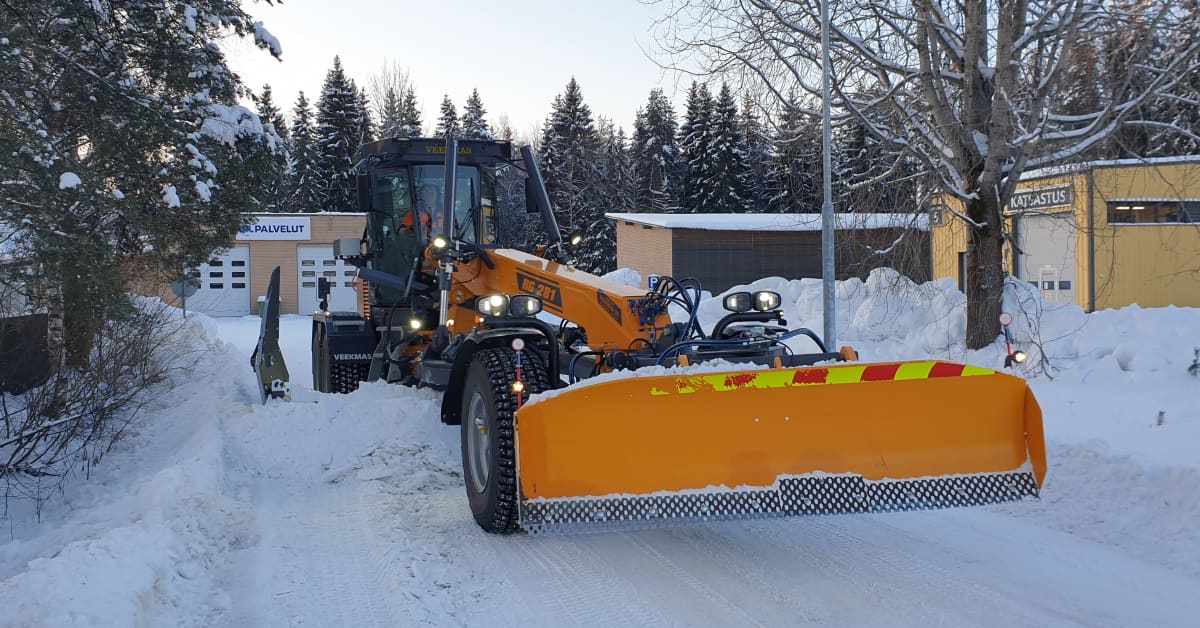 Suomen teillä uhanalainen tiekarhu ruotii Mikkelin katuja ...