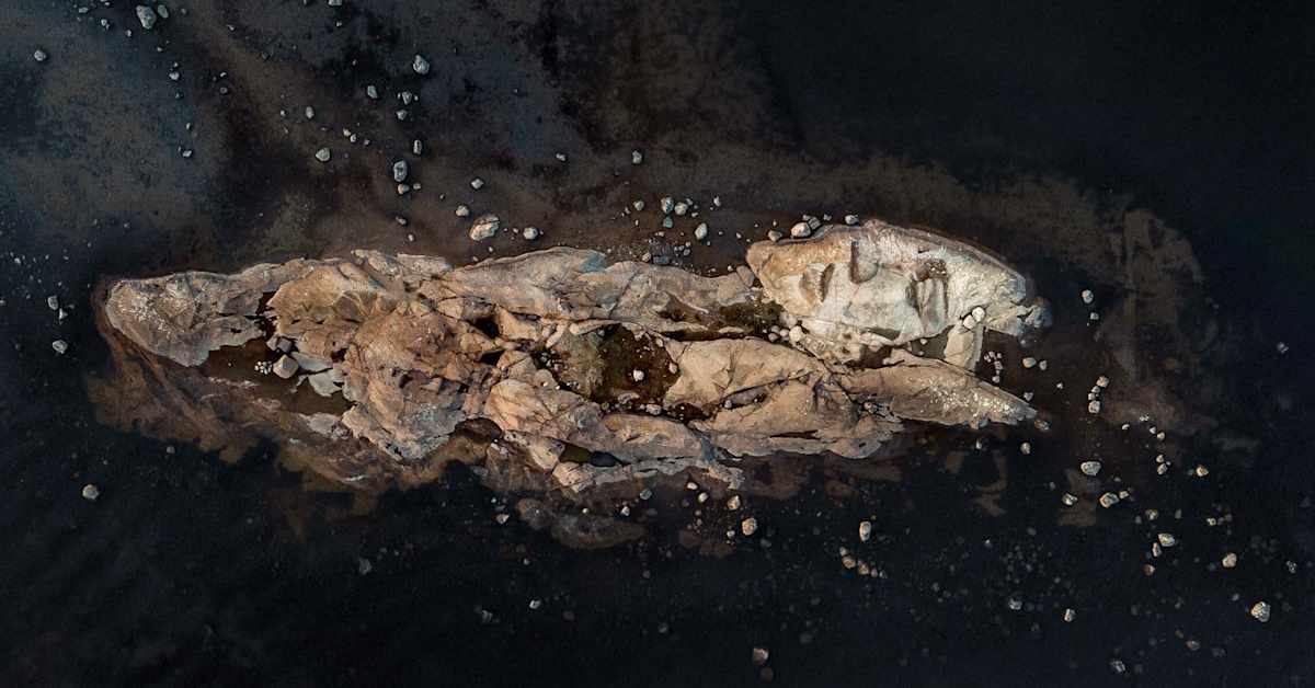 Utanför Drumsö finns ett enormt porträtt på David Popas fru: “Jag kände ...