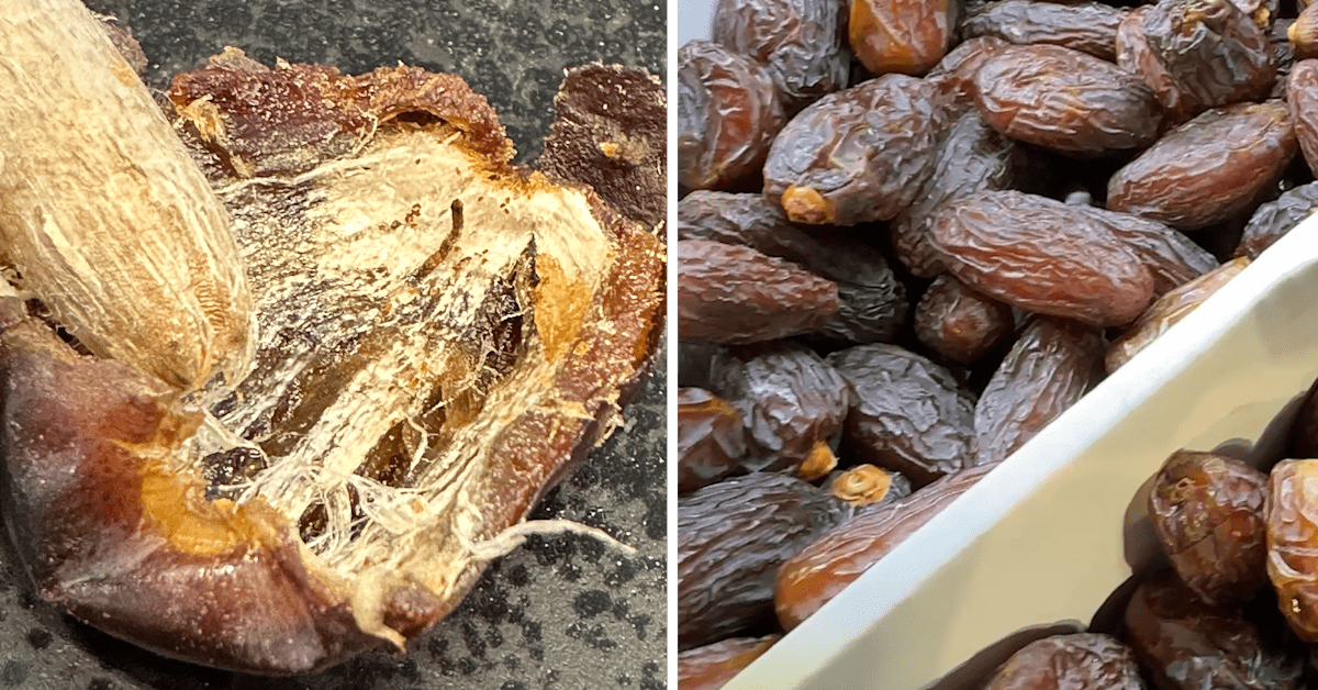 Folk på Tiktok chockade av att hitta larver i dadlar – men de är ...