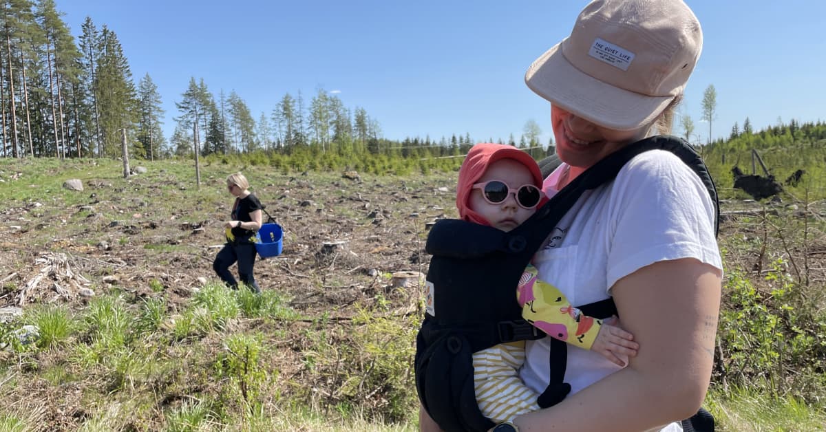 Eini Väisänen vietti lauantain metsässä rämpien, kun Apulanta pyysi ...