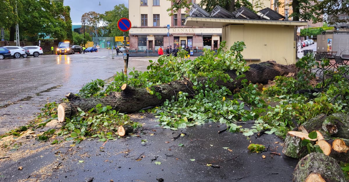'Varpu' storm fells trees and cuts power in south, brings 'first snow ...