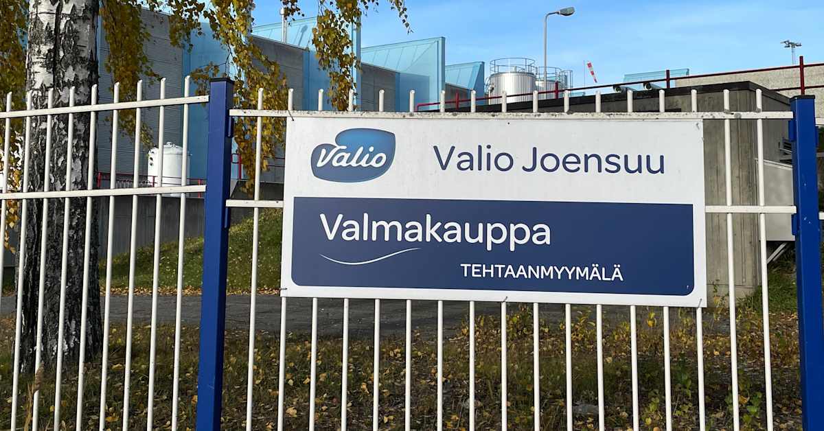 Cyber attack hits Valio, putting data of 5,000 at risk | Yle News | Yle