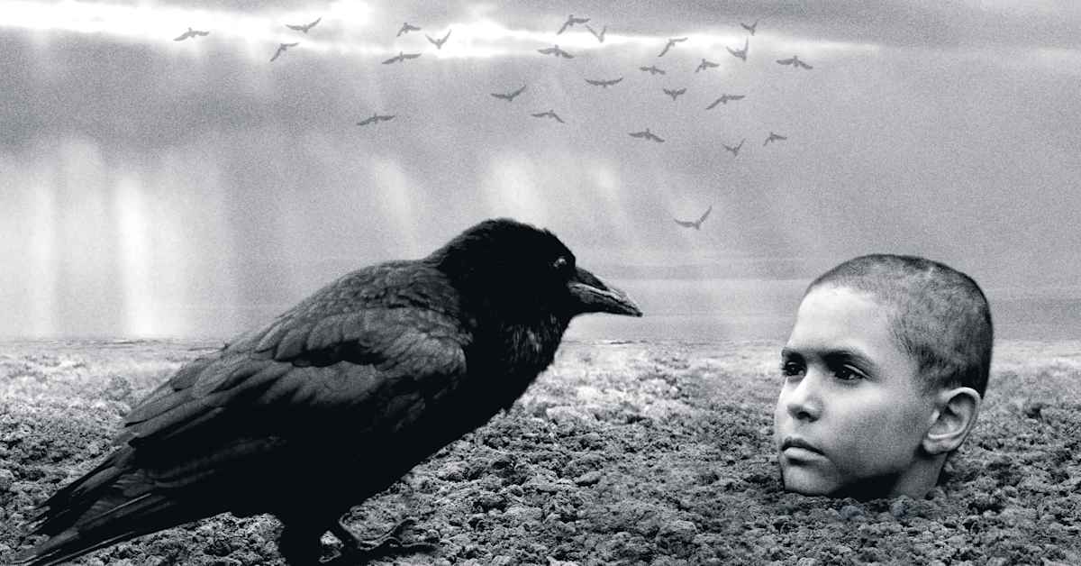 Film: The Painted Bird – hur bra är filmen som fått åskådare att fly ...