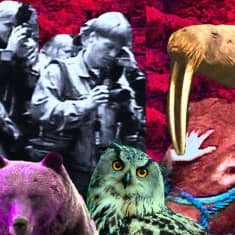 1990-luku | Yle.fi | Elävä arkisto