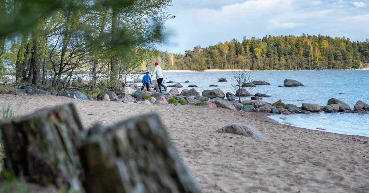 Lähes 900 lasta käy kotikoulua – opetusneuvos muistuttaa, että ...