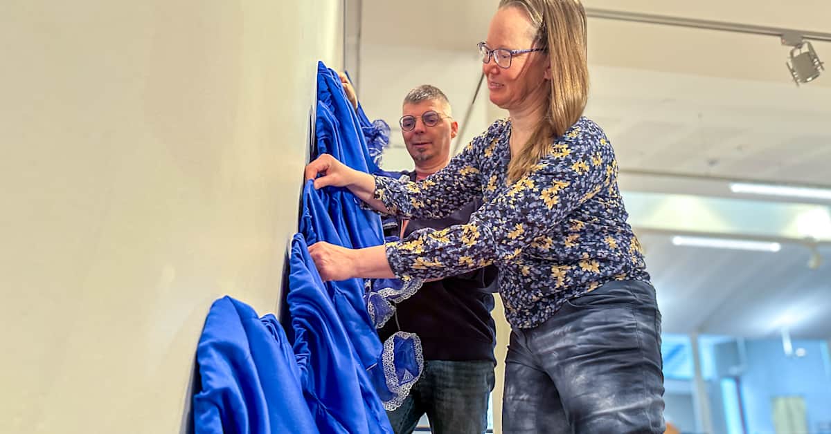 Dáiddárbárra háliida ovdanbuktit dáidaga ovttas – vuođđun lea sámi ...