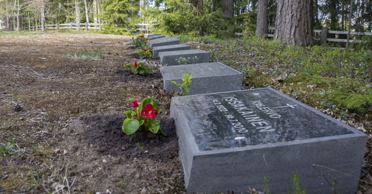 Yli 300 ihmistä unohtui suljetun mielisairaalan hautausmaalle – sitten paikalle saapui tukku ...