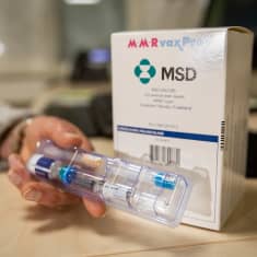 Rubella | News | Yle Uutiset
