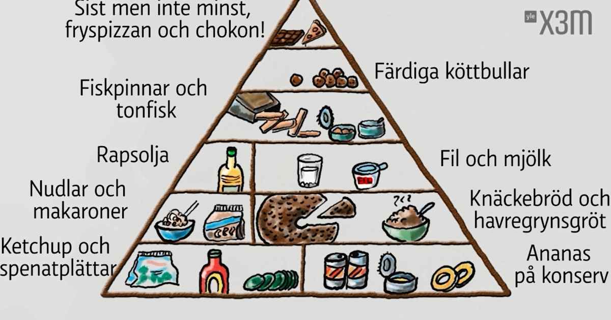 En studerandes kostpyramid | X3M | Svenska Yle