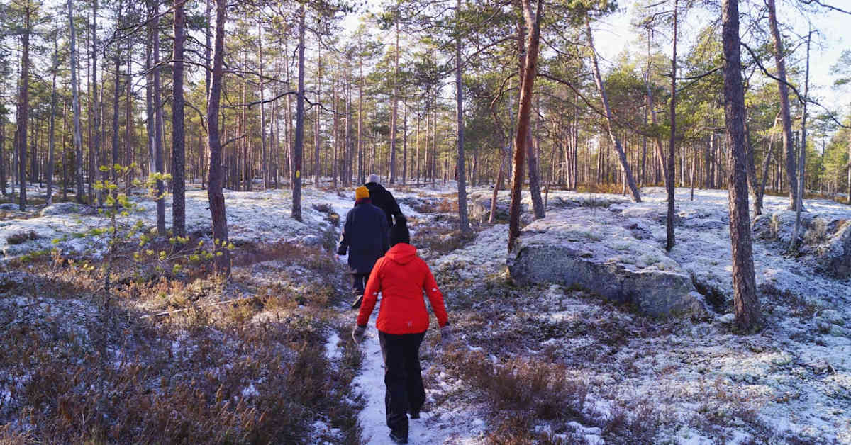 Tornberget i Bennäs förblir ett rekreationsområde – företag får inte ...