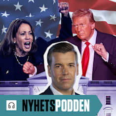 Presidentvalet i USA 2024 | Svenska Yle | Nyheter, sport, händelser