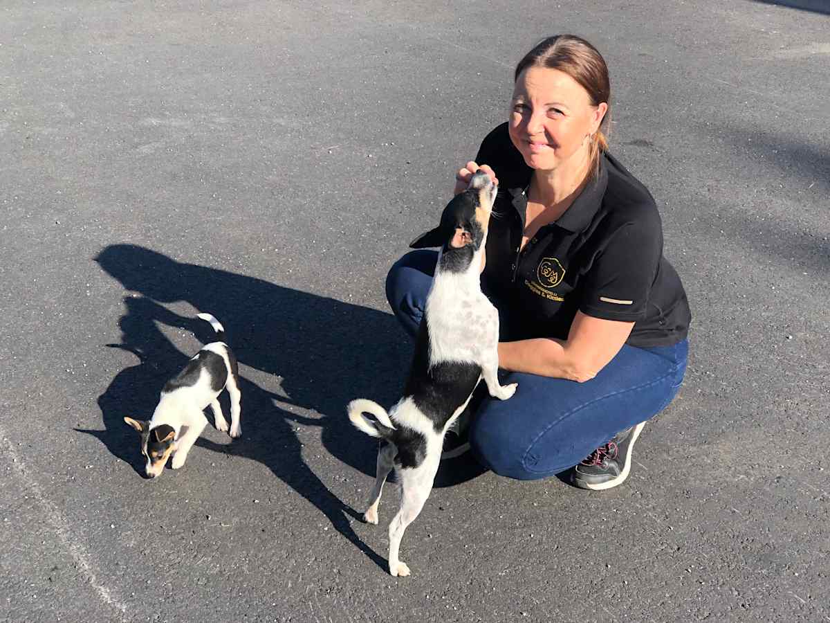 tenterfieldinterrierit