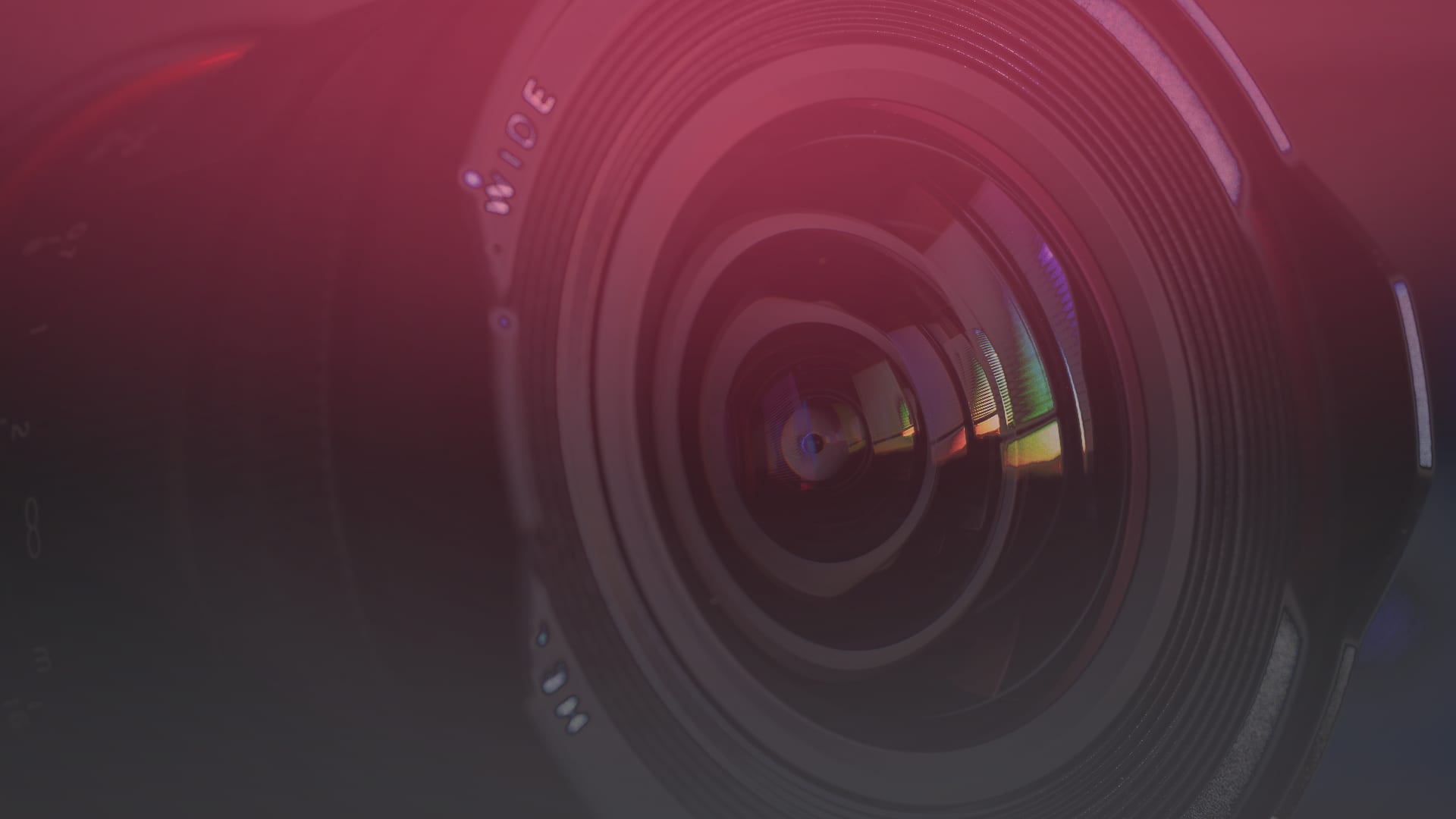 Reality | TV | Areena | yle.fi