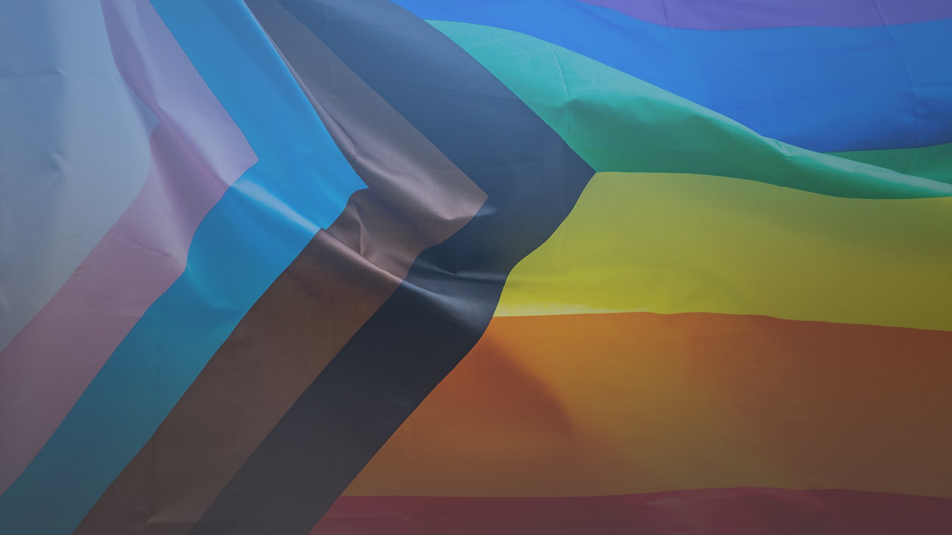 Sateenkaarevia dokkareita | TV | Areena | yle.fi