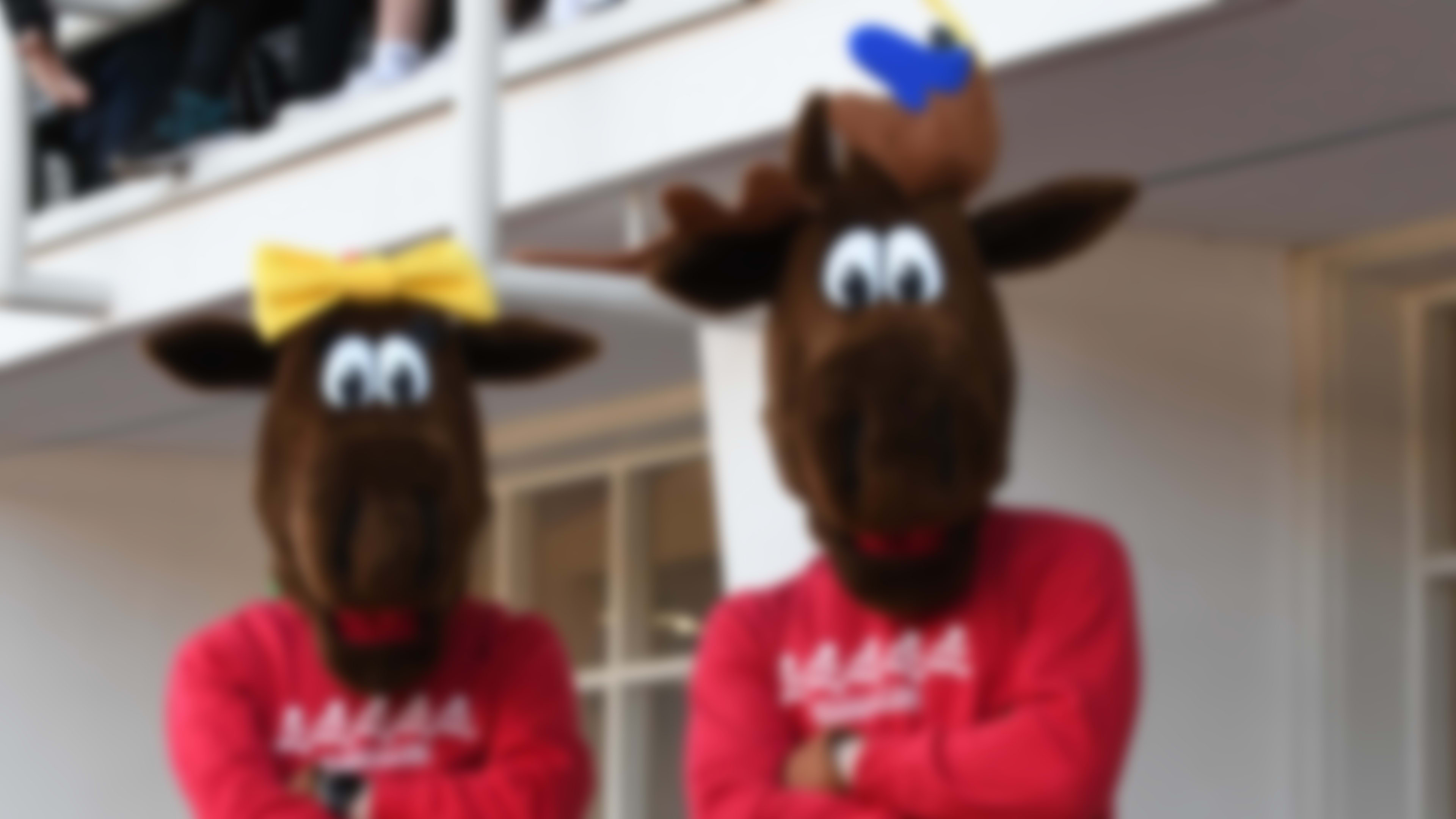 Stafettkarnevalen 2024: fredag, finalpass 1 | Stafettkarnevalen 2024 ...