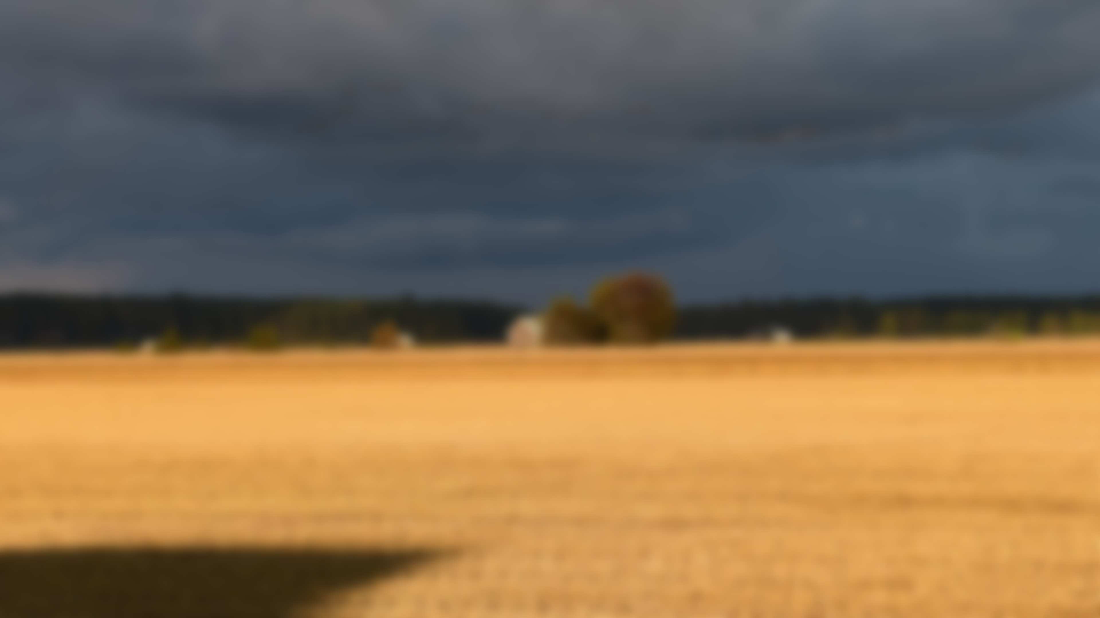KAJ öppnar dörrar mot Finland och världen | Yle Österbotten - video | Yle Arenan