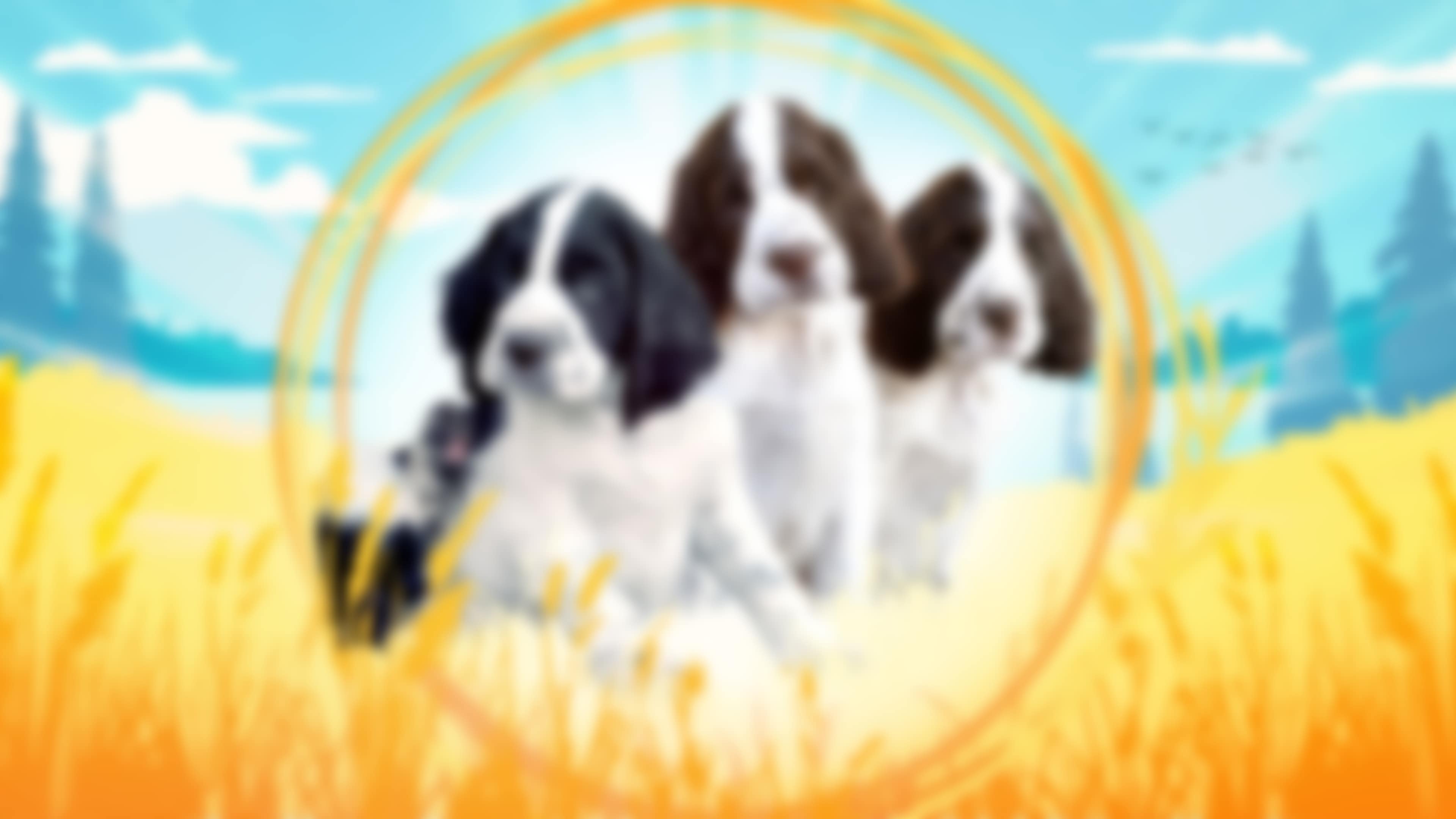 Pentulaatikon laajennus - pennut siirretään hetkeksi pois. | Pentulive ...