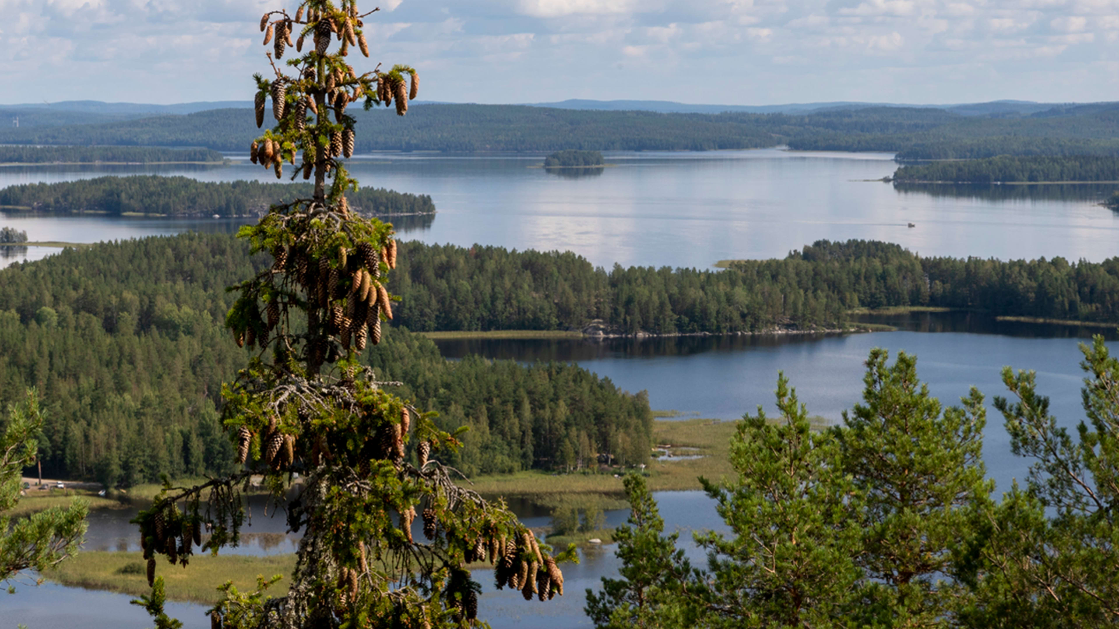 Keski-Suomi | Yle Arenan