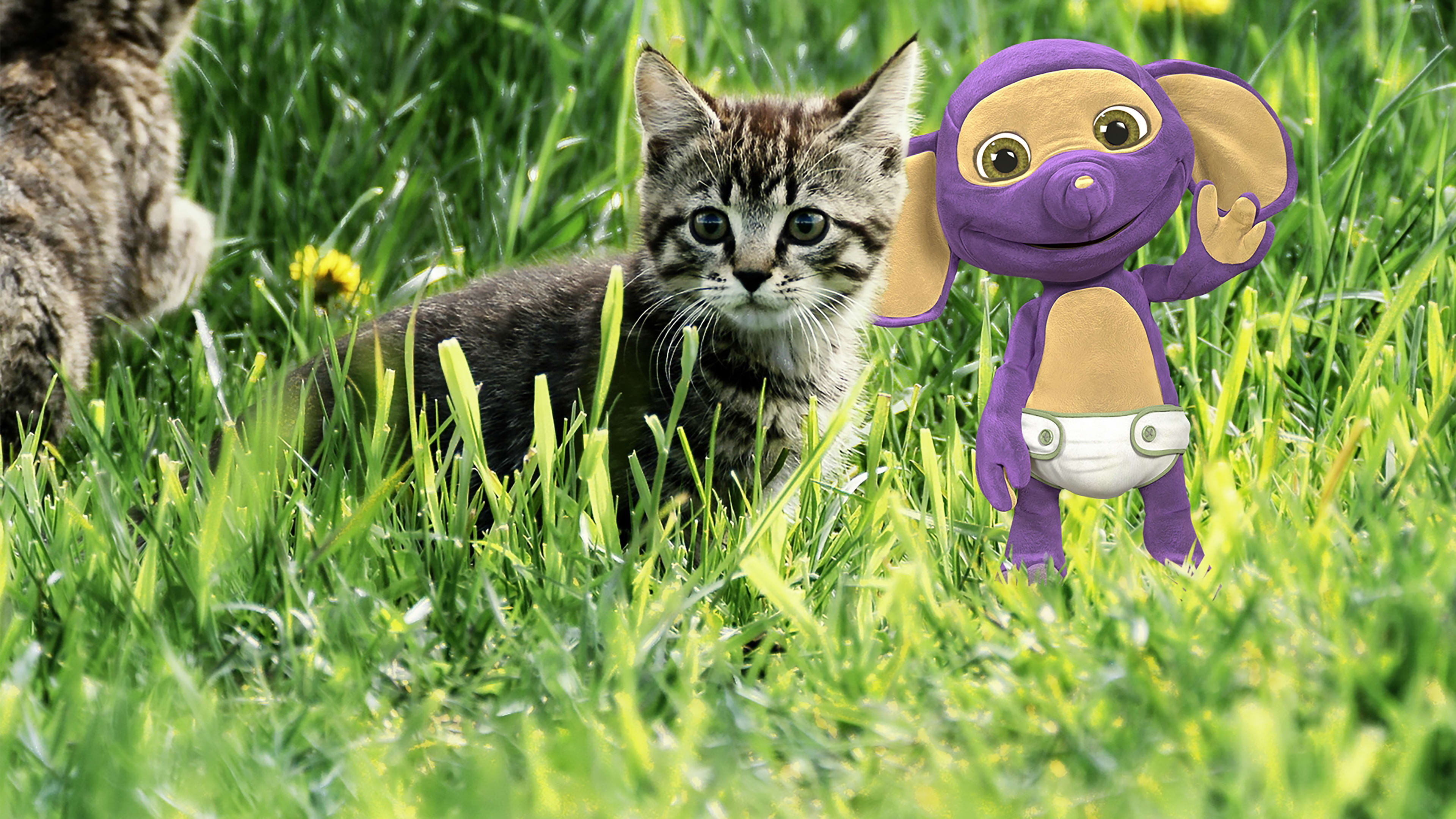 Fantis och djuren (finskspråkig version) | Yle Arenan