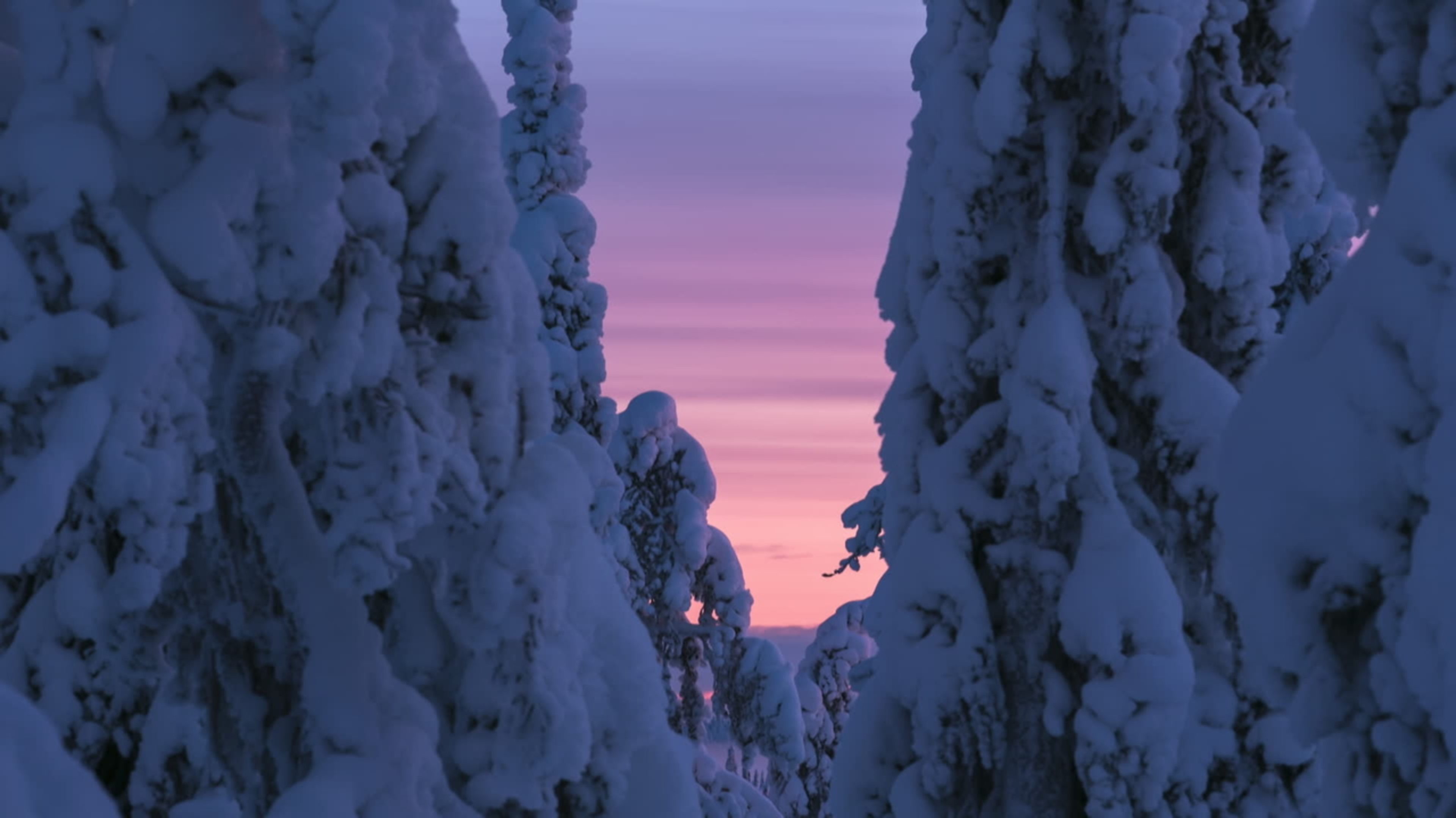 Luonto-Suomen Suuri muuttolintuilta | Yle Areena