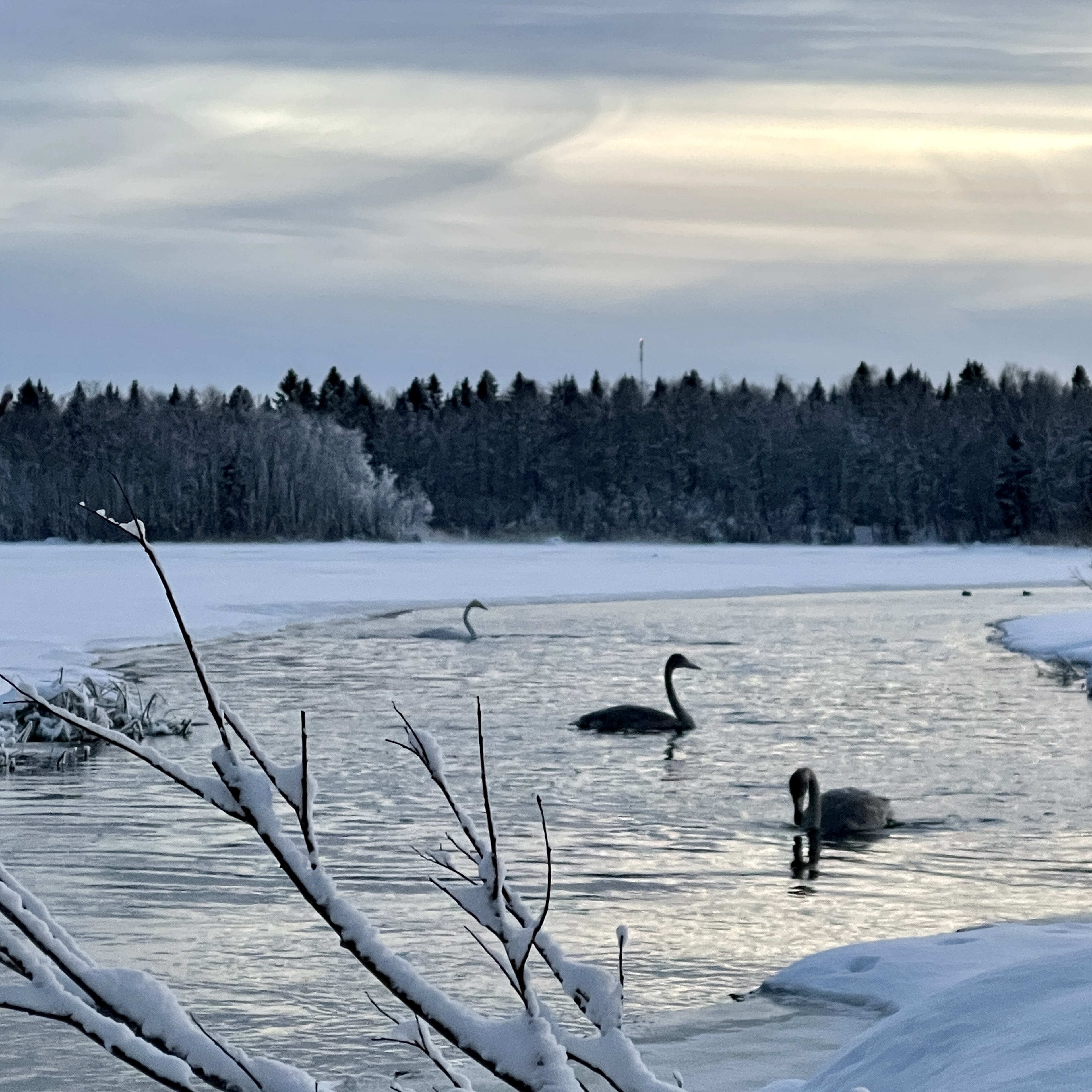 Lappi | Yle Areena