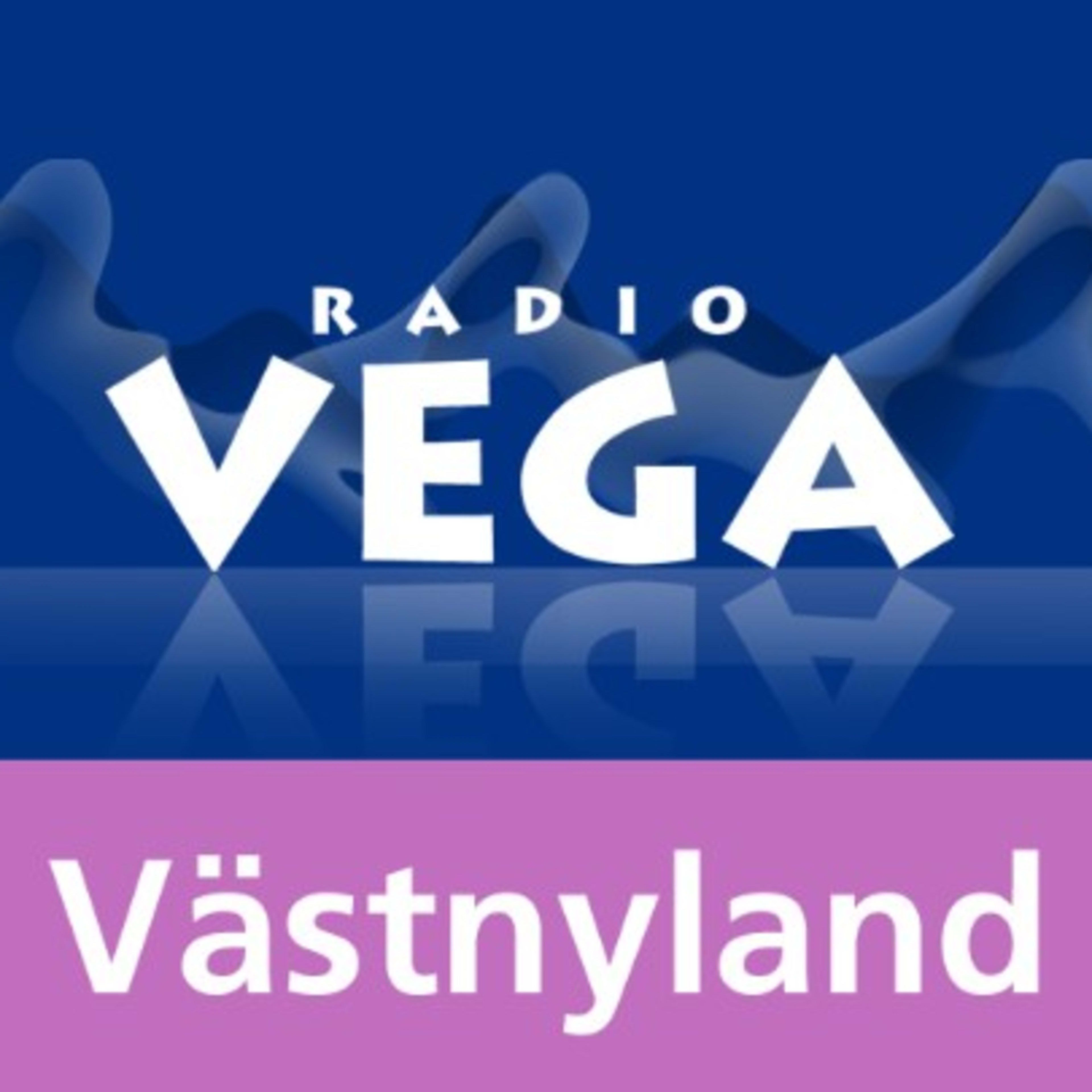 Radio Vega Västnyland: Henrik Lindholm och Göran Wide om Novia | Yle Vega Västnyland | Yle Arenan