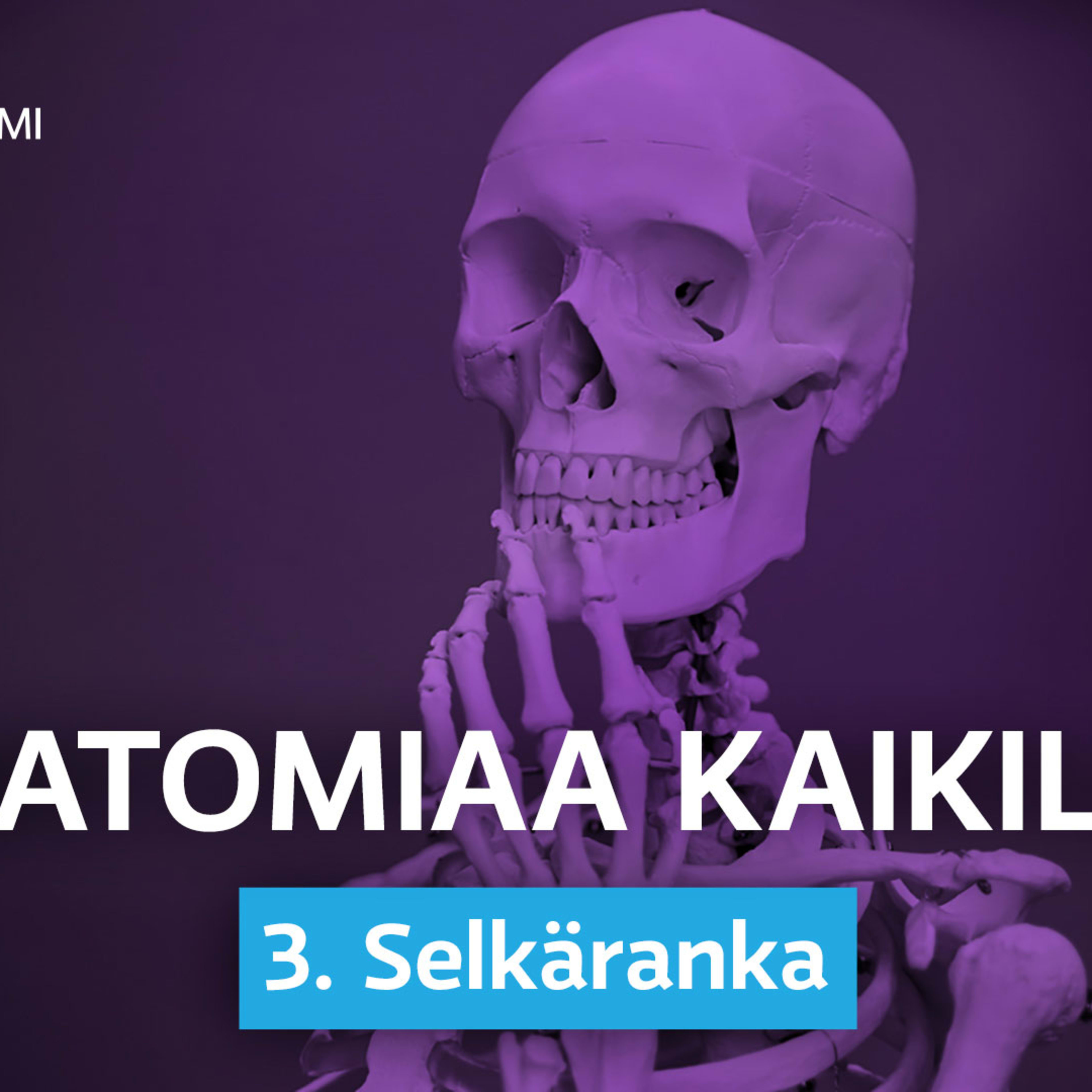 Selkäranka | Anatomiaa kaikille | Yle Areena