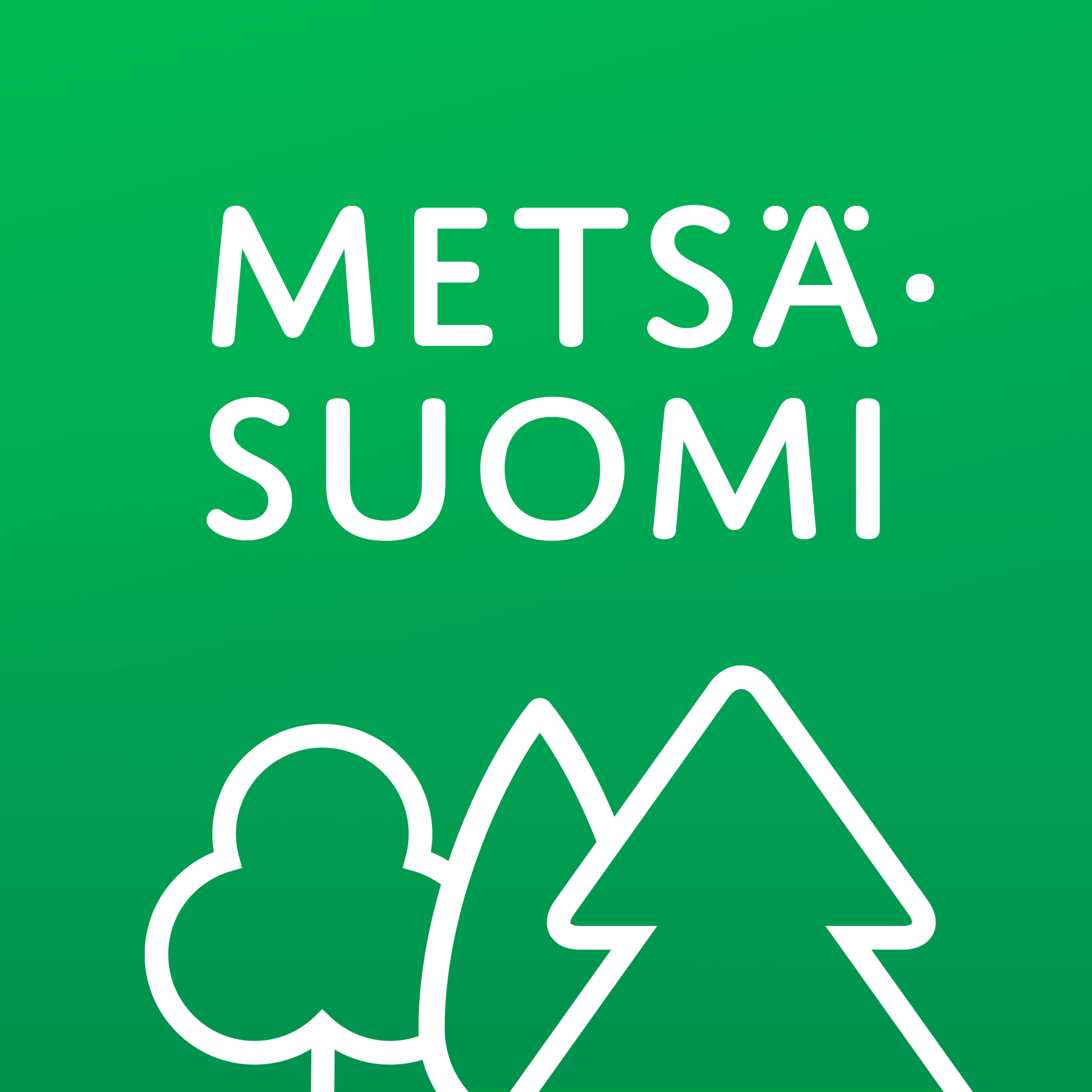 Visainen puu | Metsä-Suomi | Yle Areena
