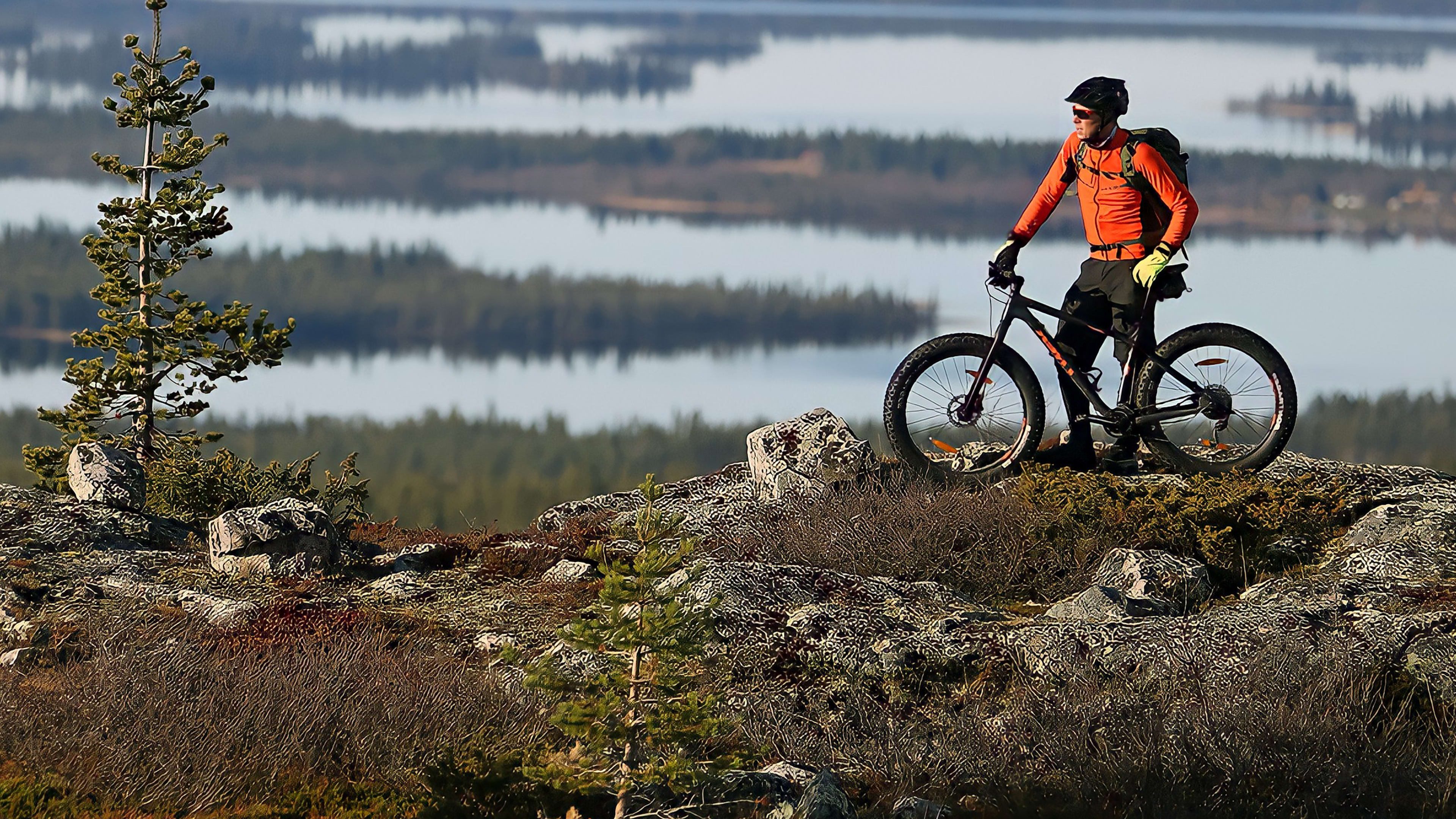 Peltsin Lappi | Kausi 3 | Yle Areena